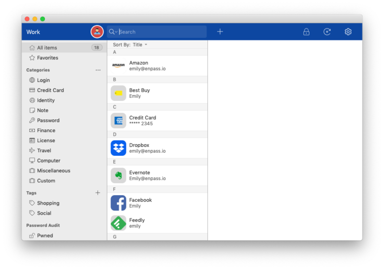 Enpass now supports website icons to enhance the visual appeal - Enpass
